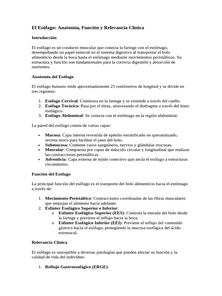 Studoc 5 El Esófago | PDF | Esófago | Estómago
