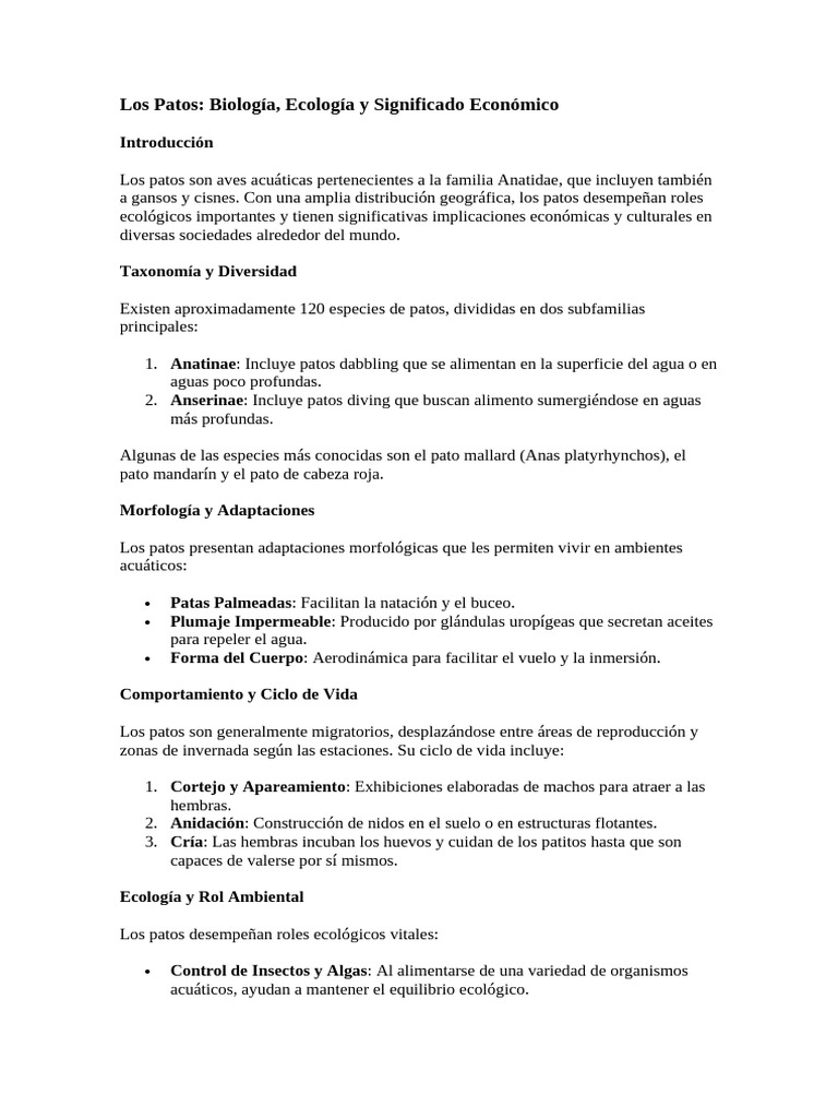 Studoc 4 Los Patos | PDF | Pato | Aves