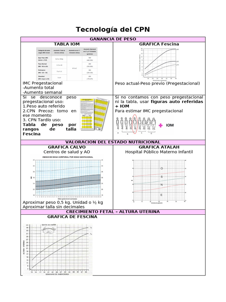 Tecnología Del CPN | PDF