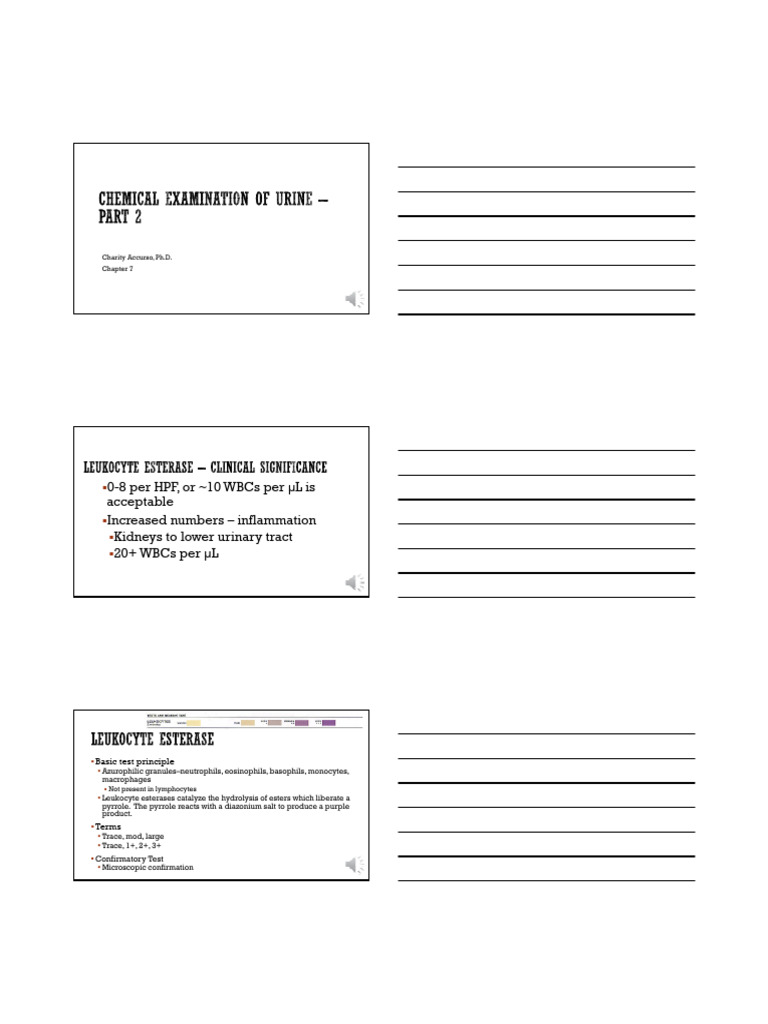 Chapter 7 Part 2 Handout - Color | PDF | White Blood Cell | Kidney