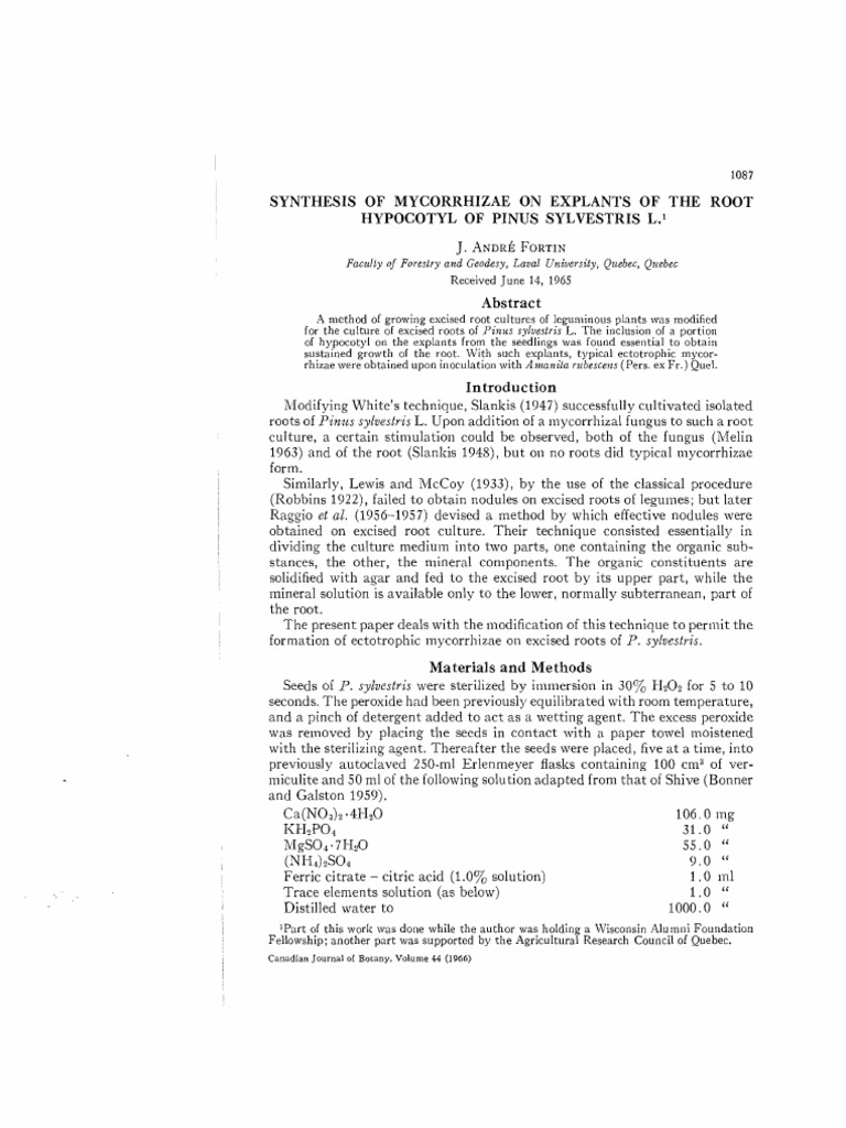 1966 - Fortin - SYNTHESIS OF MYCORRHIZAE ON EXPLANTS OF THE ROOT ...
