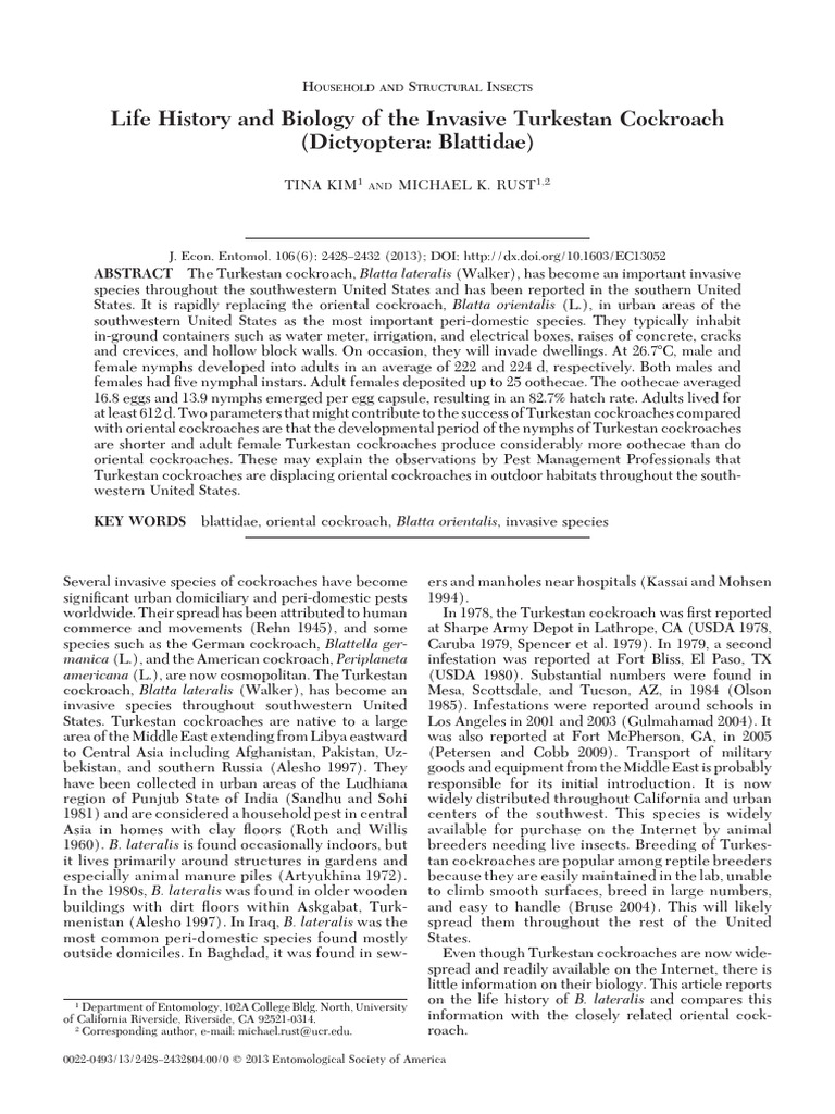 Turkestan Cockroach Life Cycle Insights | PDF | Insects