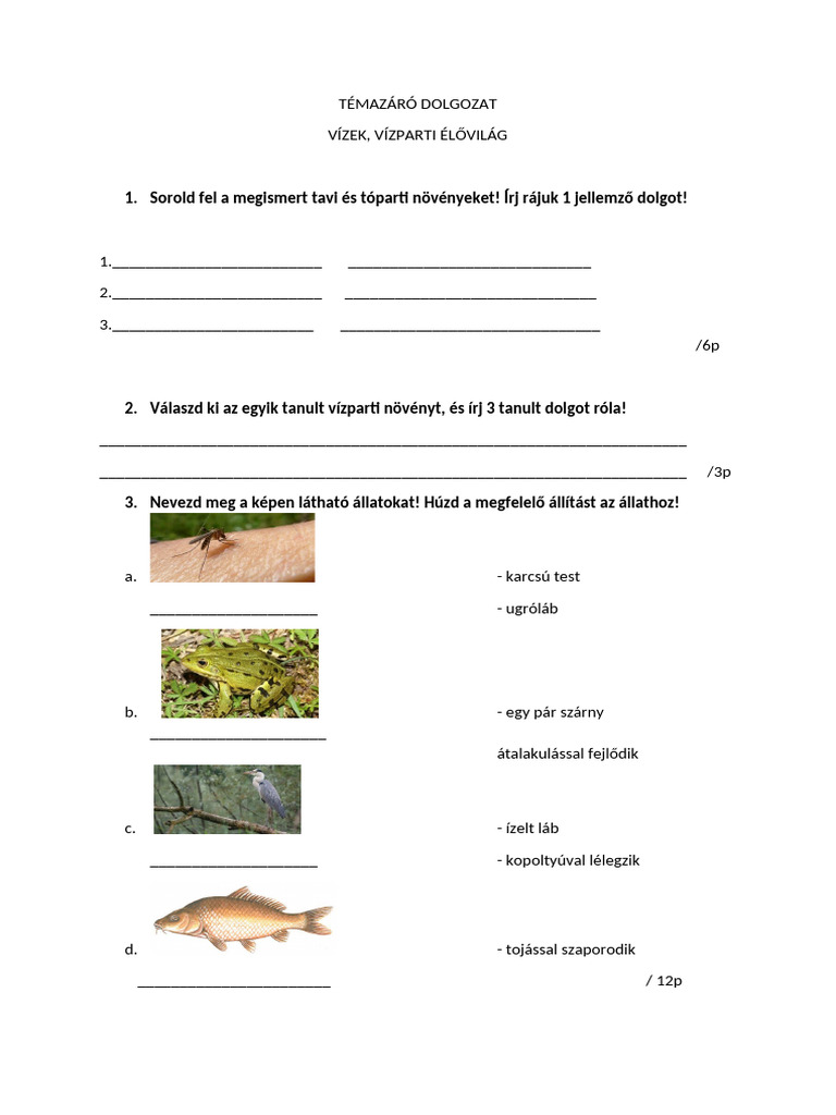 TÉMAZÁRÓ DOLGOZAT Vízpart 4.o. | PDF