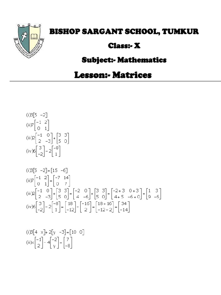 Class 10 Math: Matrices Exercises | PDF