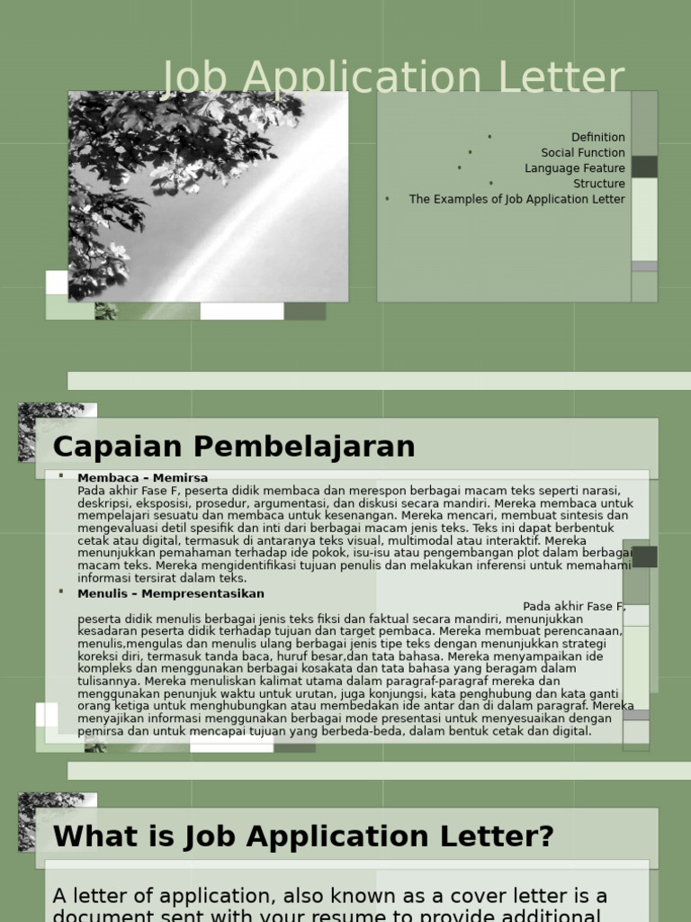 Job Application Letter Guide | PDF | Madam | Linguistics