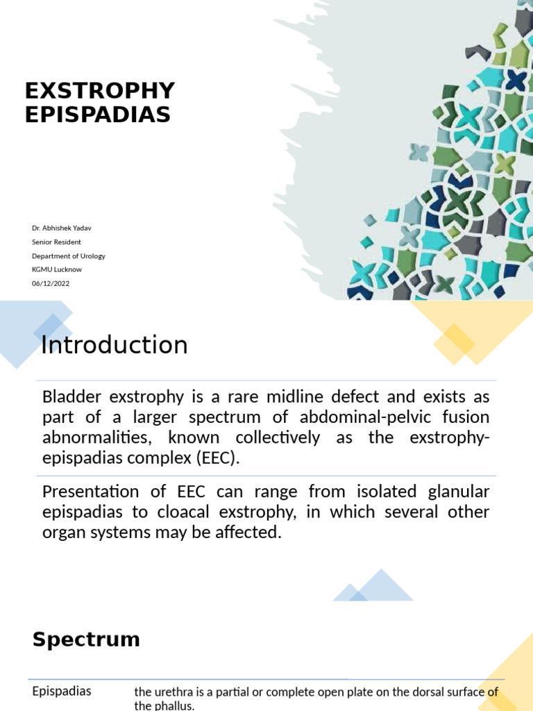 Exstrophy Epispadias | PDF | Urinary Incontinence | Pelvis