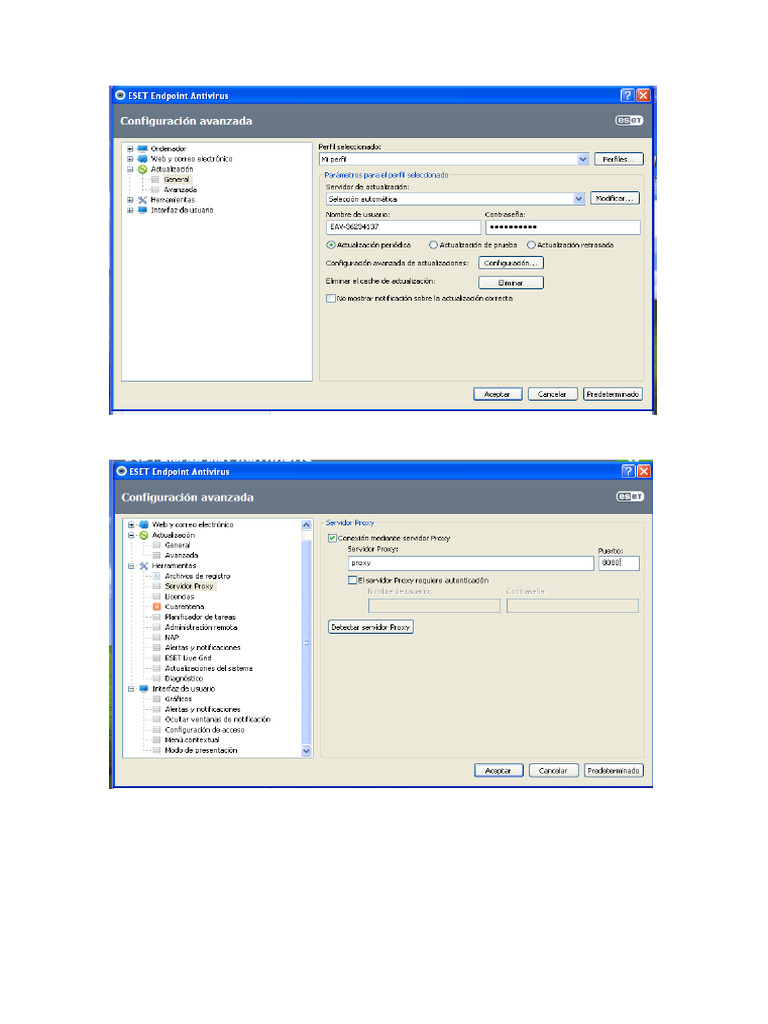 Instalación Servidor Antivirus Nod32 | PDF