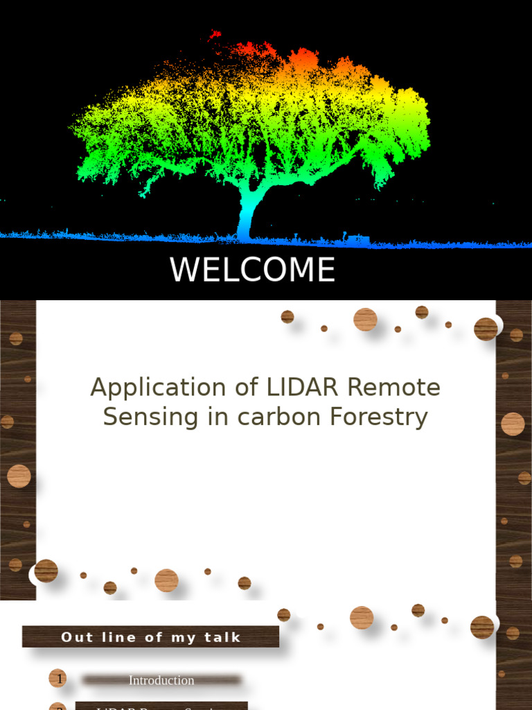Applin Of Lidar In Forestry Pdf Lidar Laser