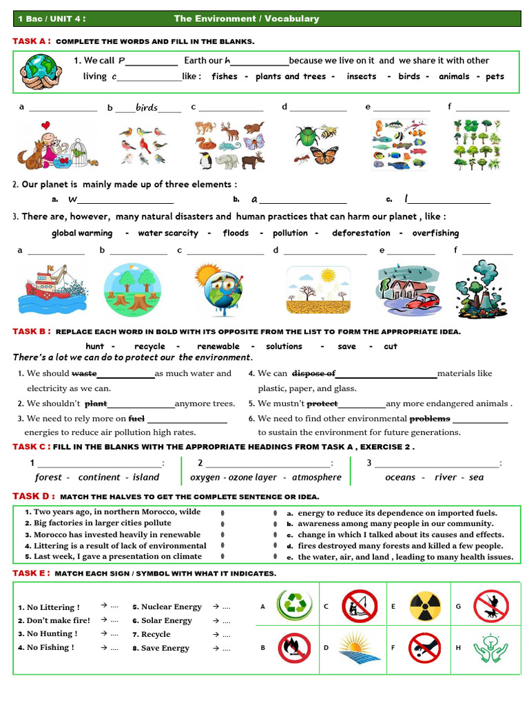 1 Bac. The environment. Vocabulary | PDF | Natural Environment | Nature