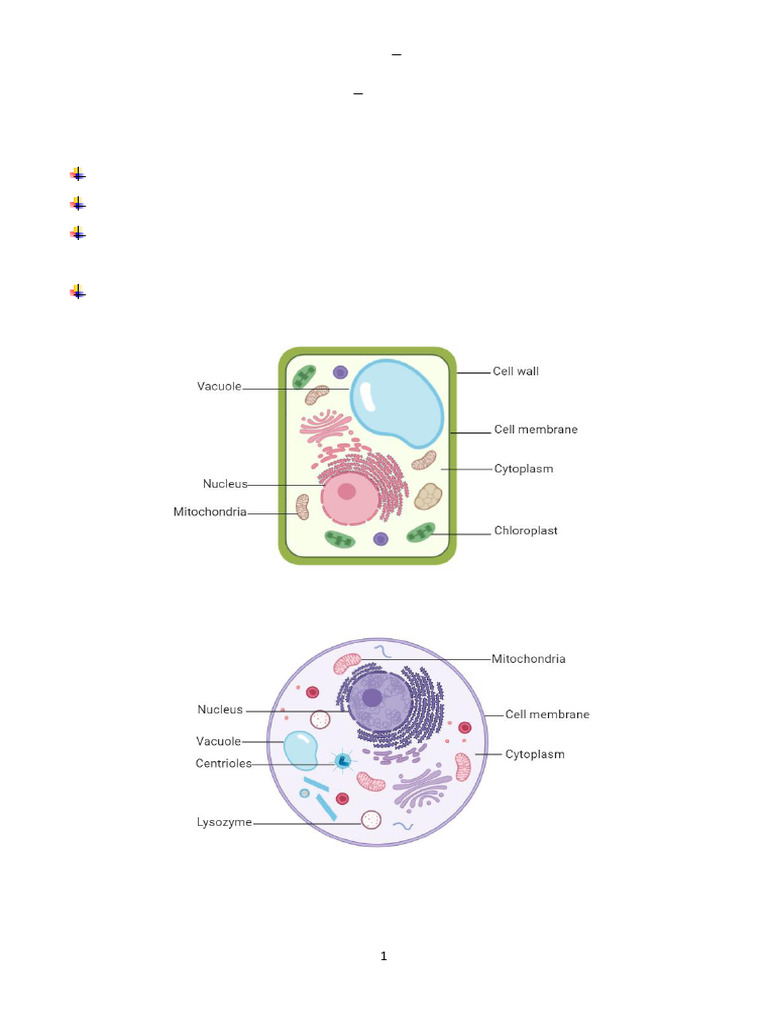 Unit - 6 (Cells - The Basic Unit of Life) | PDF | Tissue (Biology ...
