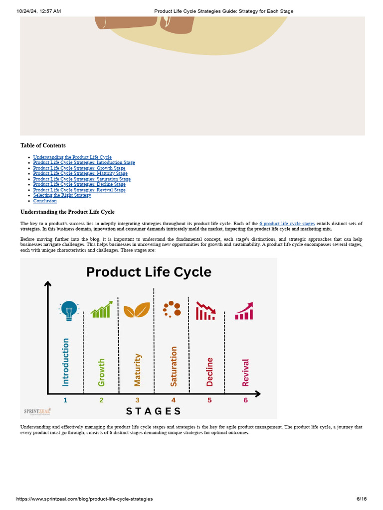 Product Life Cycle Strategies Guide - Strategy For Each Stage | PDF ...
