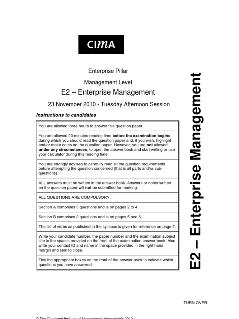 E2 - Enterprise Management | PDF | Strategic Management | Mentorship