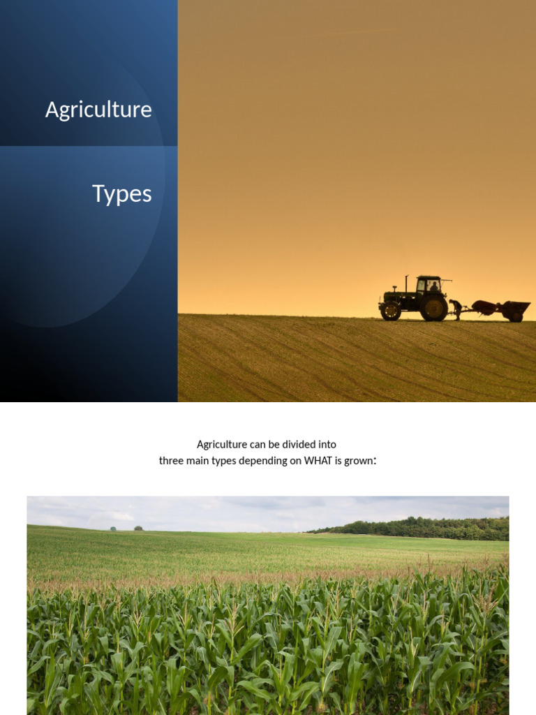Types of Agriculture Explained | PDF | Agriculture | Intensive Farming