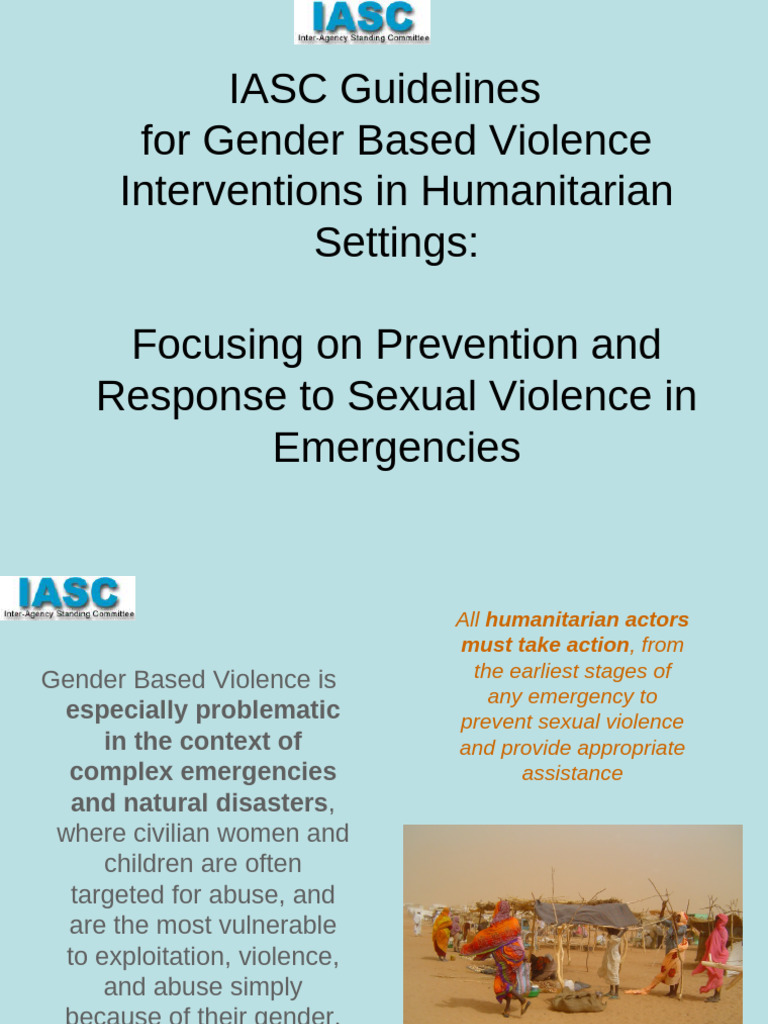 GBV IASC Guidelines | PDF | Violence Against Women | Sexual Violence