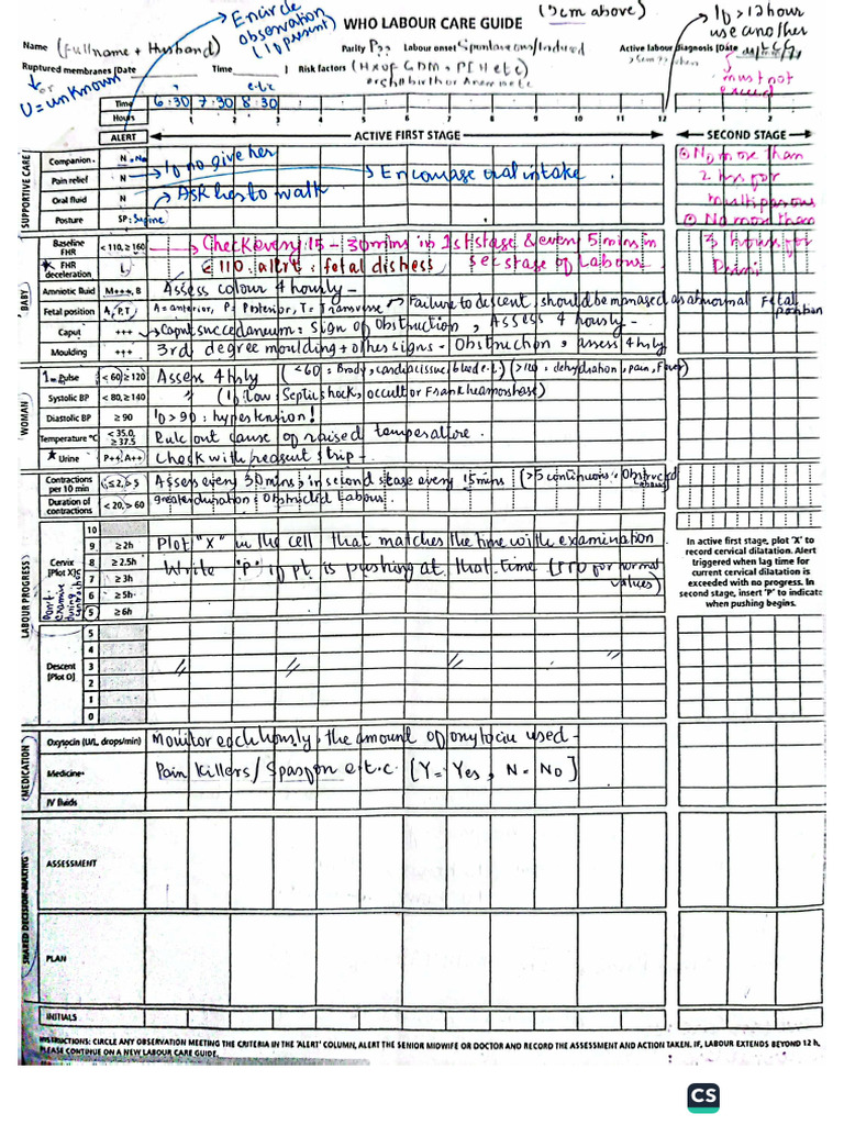 Labour Care Guide | PDF