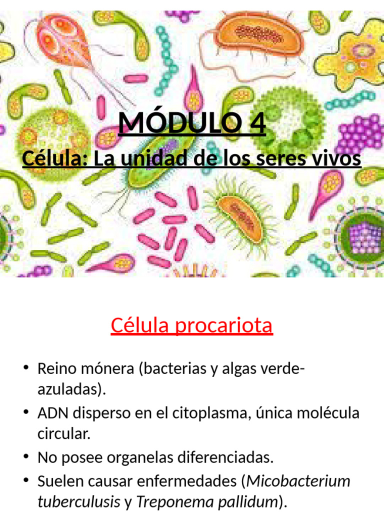 Ingreso - Biología&Biociencias - Material - Clase 5 - Módulo 4 - Celula ...