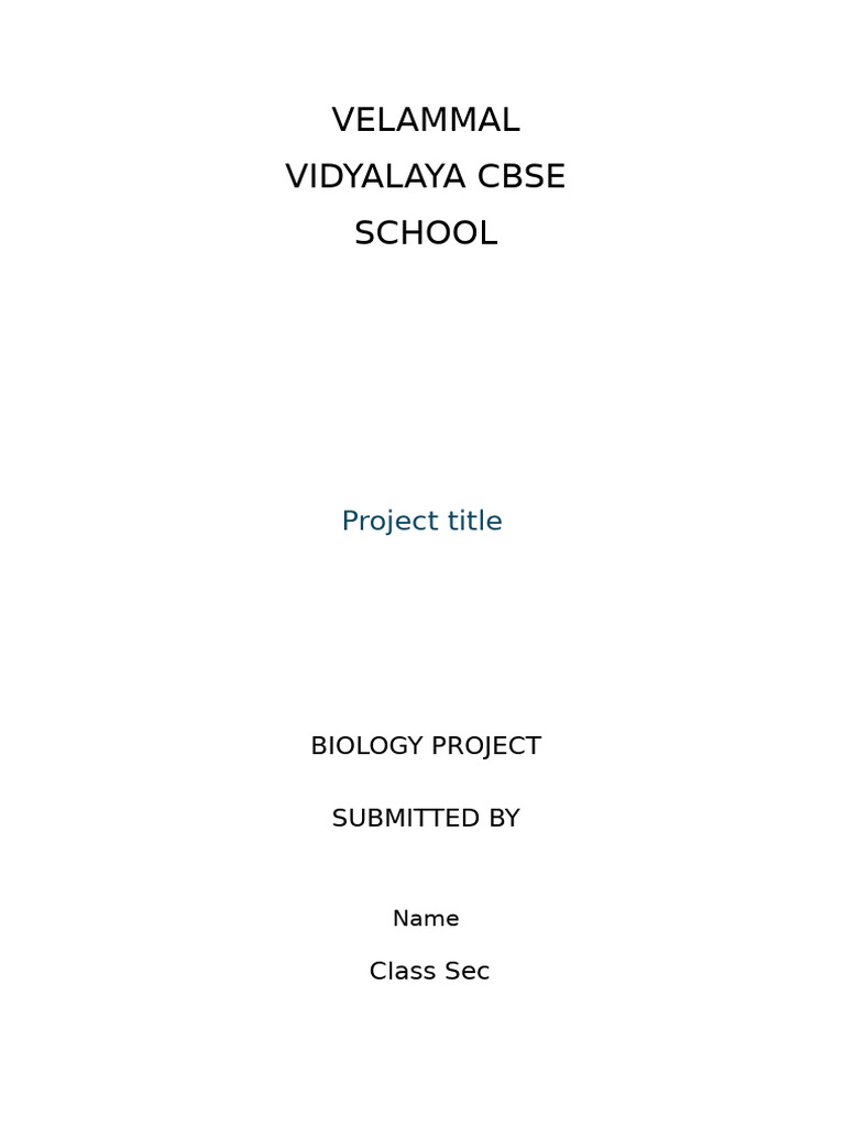 PROJECT | PDF