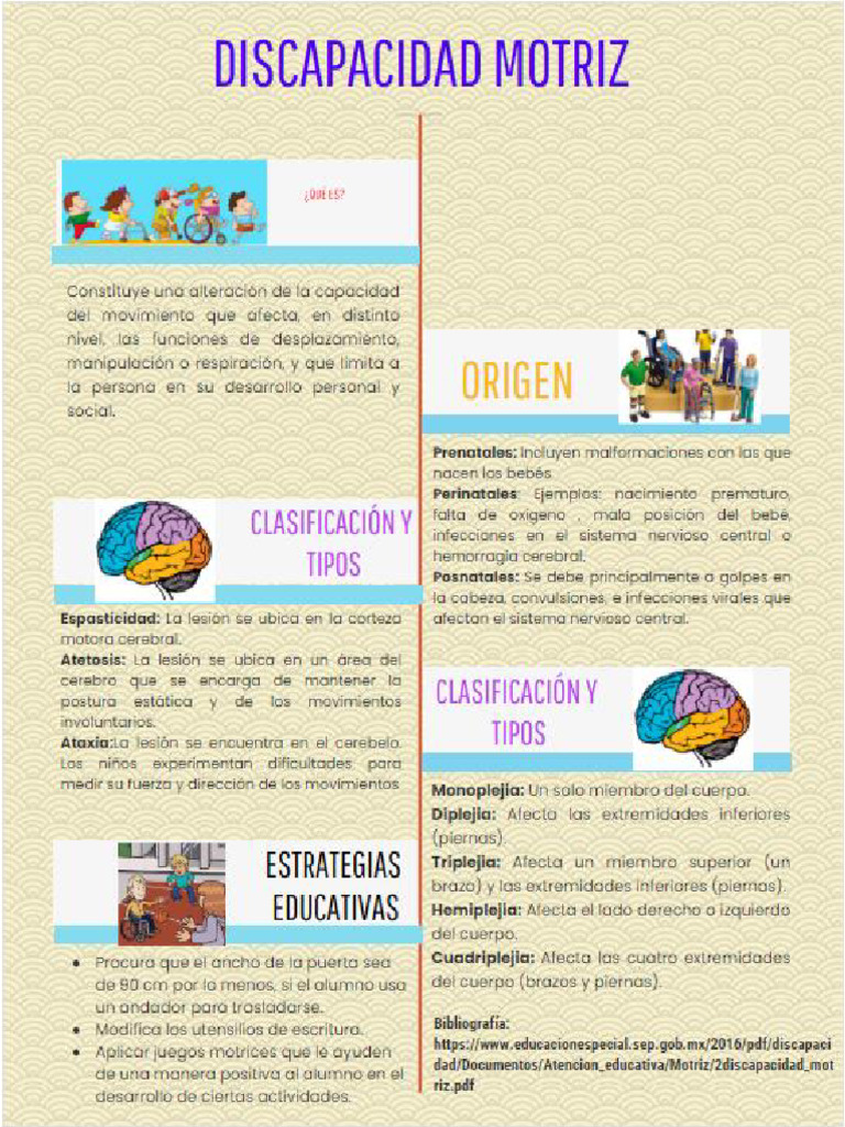 Discapacidad Motriz | PDF