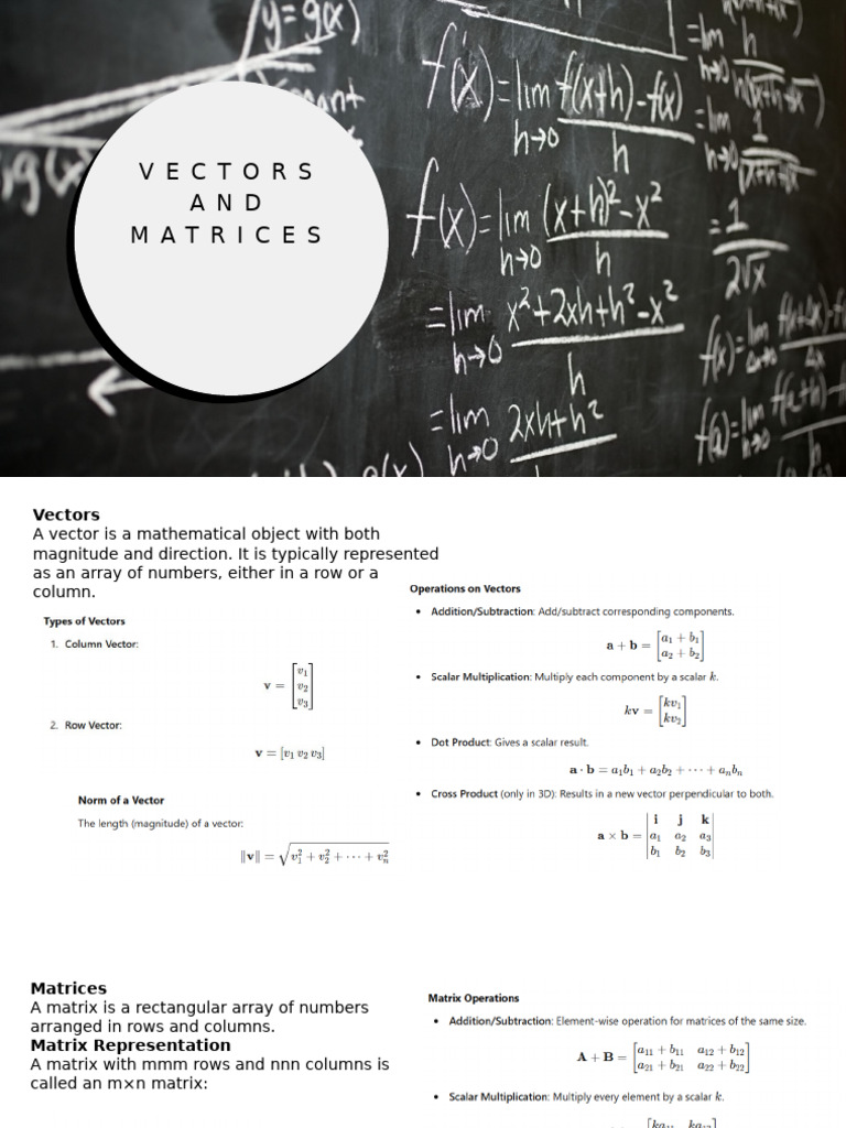 Vectors and Matrices | PDF