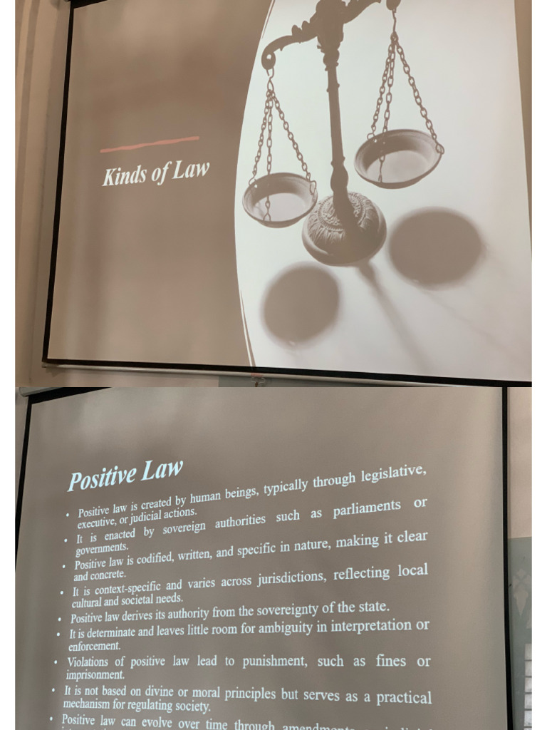 Pol Sci Lec 24 | PDF