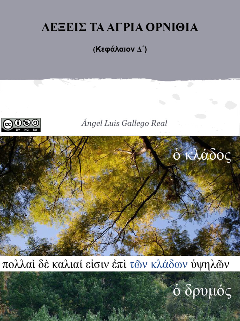 4.2 ΛΕΞΕΙΣ ΤΑ ΑΓΡΙΑ ΟΡΝΙΘΙΑ | PDF