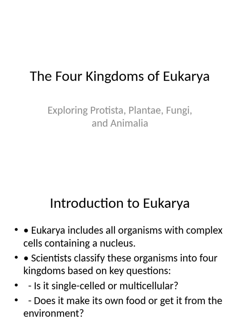 Four Kingdoms of Eukarya Explained | PDF