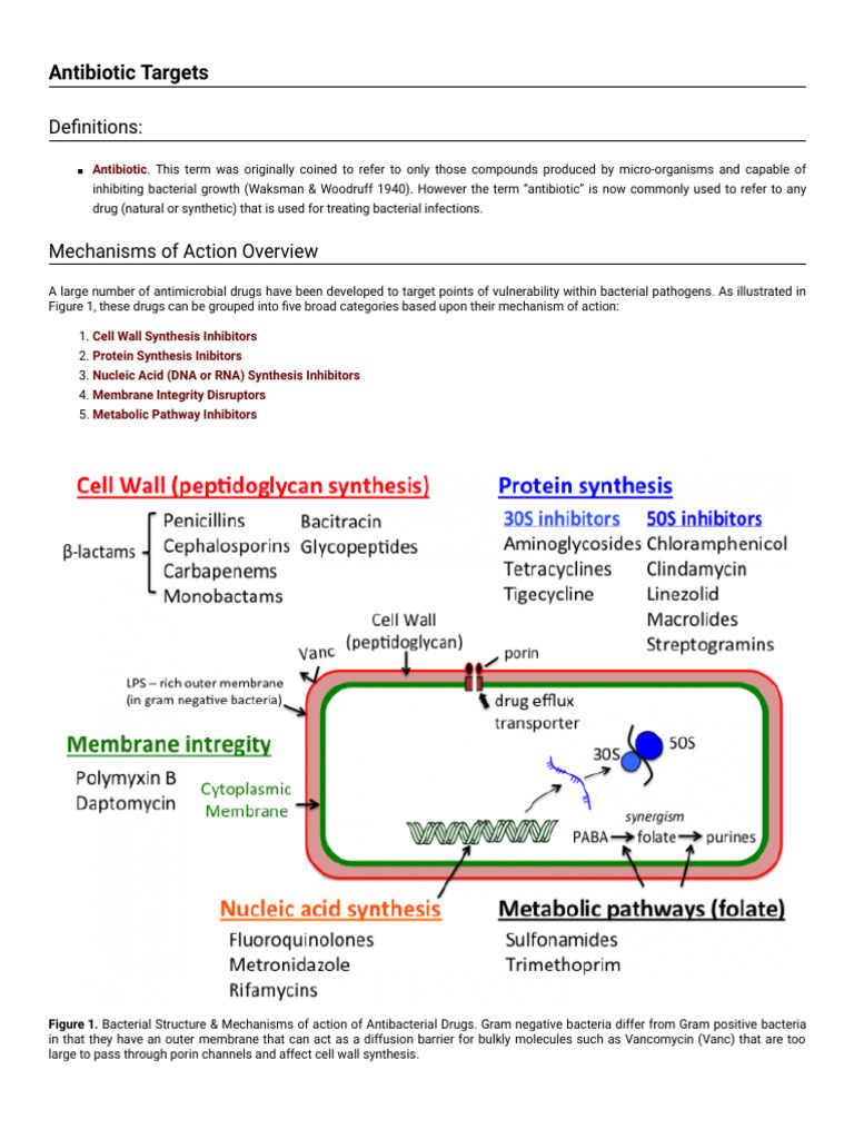 Antibiotic - Targets (TUSOM - Pharmwiki) | PDF | Cell Wall | Enzyme ...