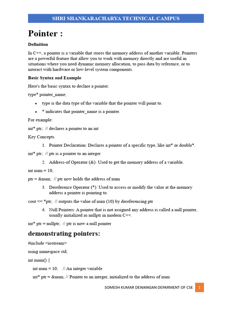 08pointer Pdf Pointer Computer Programming Integer Computer