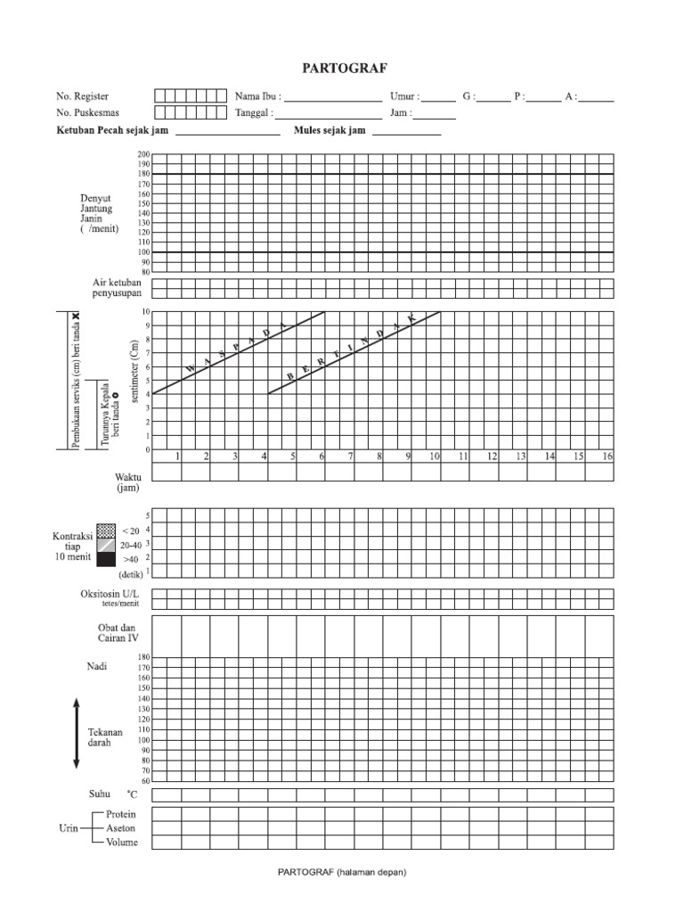 Partograf 2 | PDF
