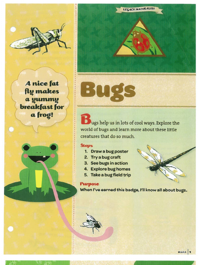 Brownie Bugs | PDF