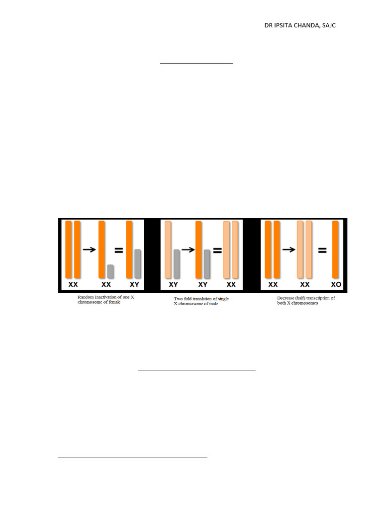Dosage Compensation in Drosophila | PDF | Histone | Biochemistry