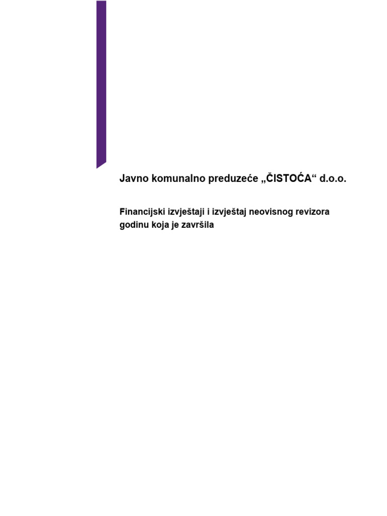 REVIZIJA-CISTOCA-2019 | PDF