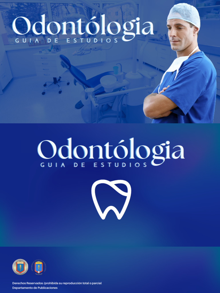 Guía - Pato Ii - P3 | PDF