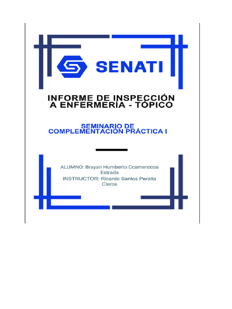 informe_de_insp BRAYAN | PDF