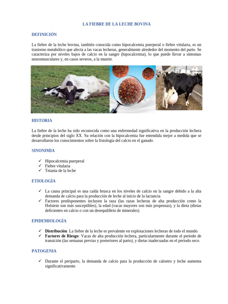 FIEBRE DE LA LECHE BOVINA | PDF | Vacas | Leche