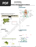 Biology Chapter 7 Structural Organisation in Animals Class 11 Notes PDF ...