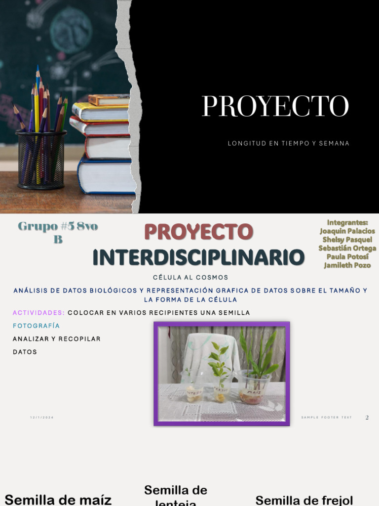 Matematicas Proyect | PDF | Botánica | Plantas