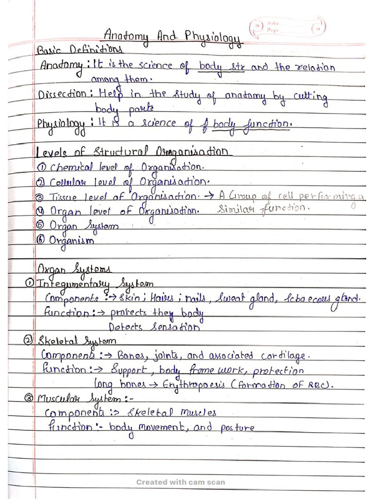 Subject - Human Anatomy and Physiology Topic - Basic Anatomy and Introduction of Physiology | PDF