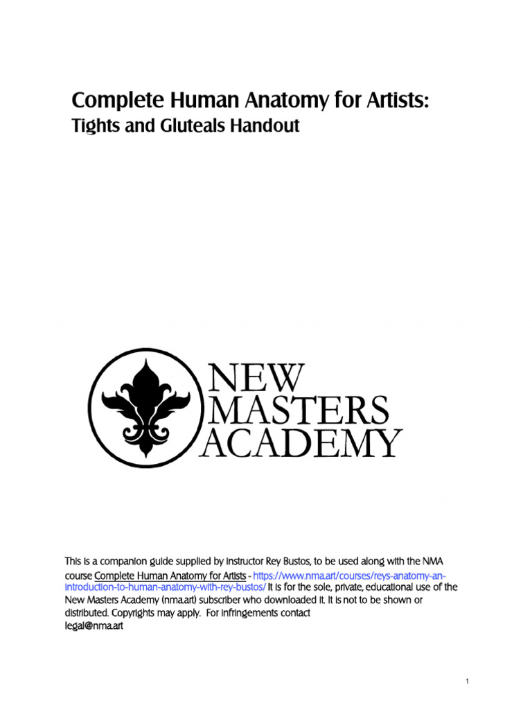 Complete Human Anatomy For Artists Thights and Gluteal Handout PDF | PDF