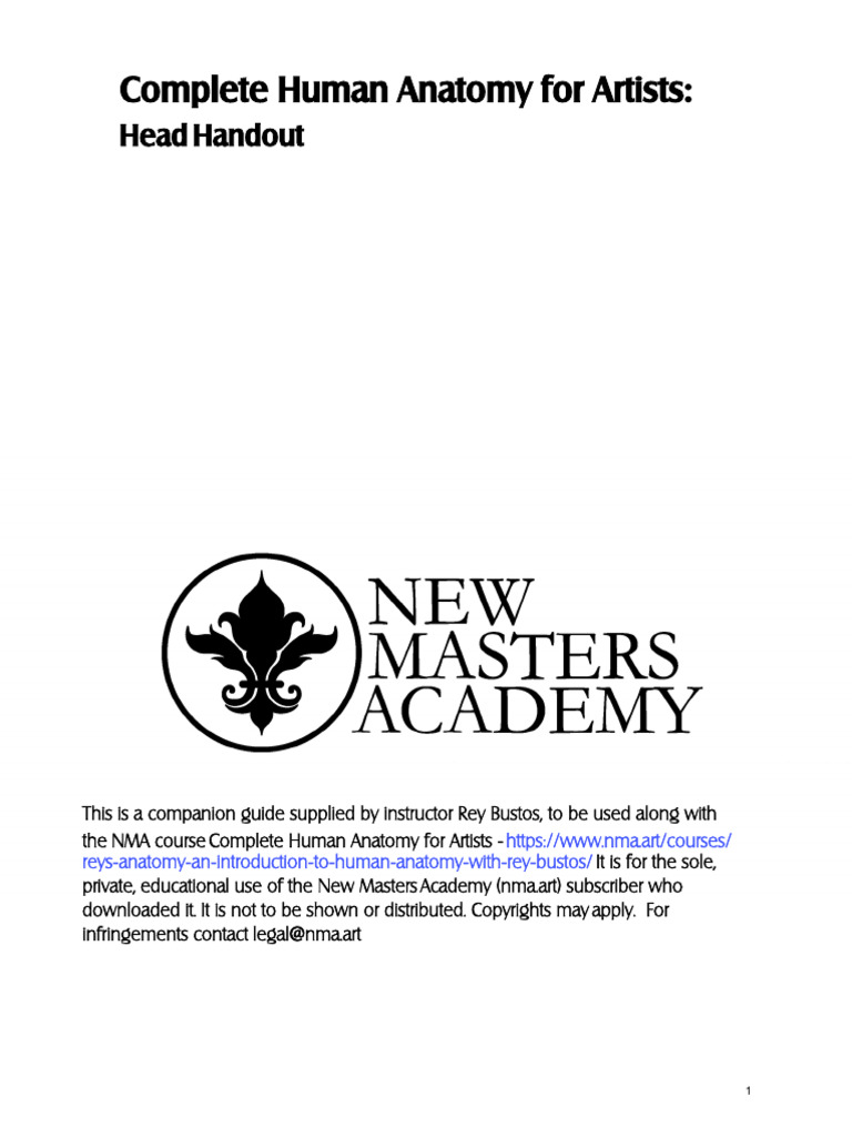 Complete Human Anatomy For Artists Heads Handout PDF | PDF