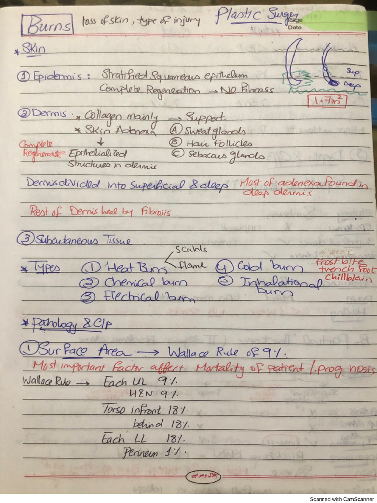Burns, Raw Area Coverage, Cleft Lip& Pal | PDF