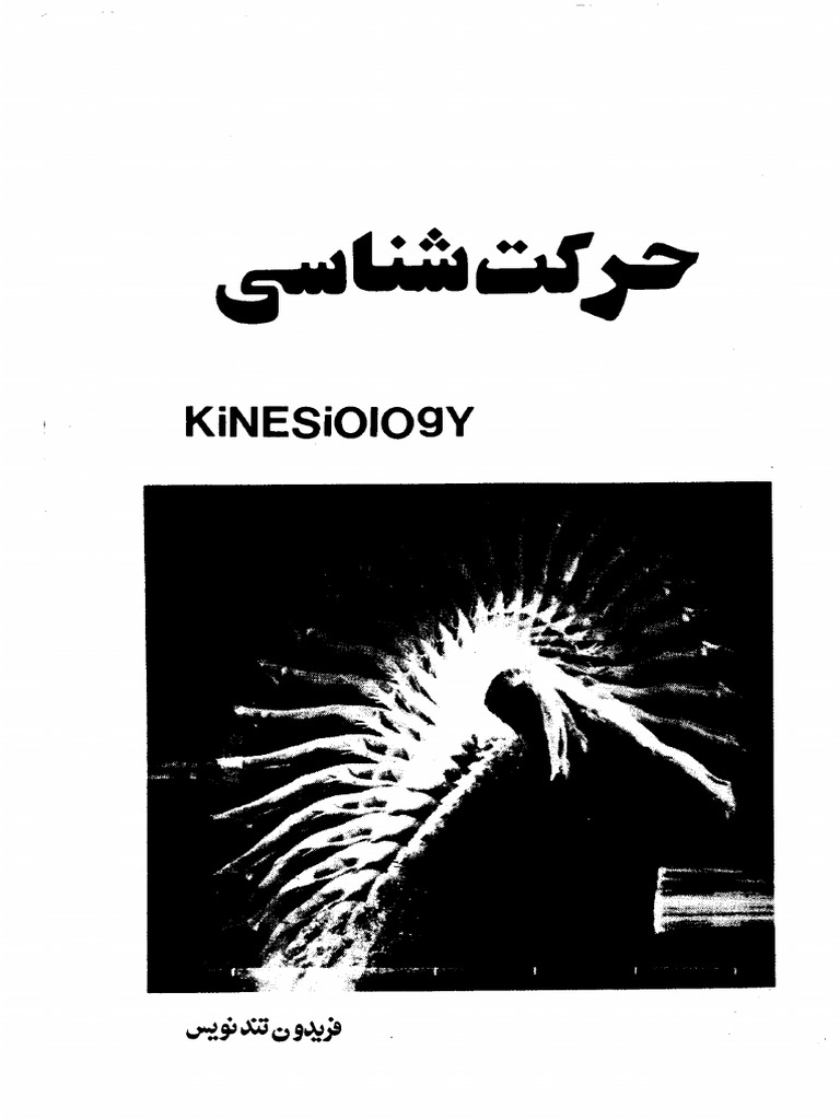 Kinesiology Insights | PDF