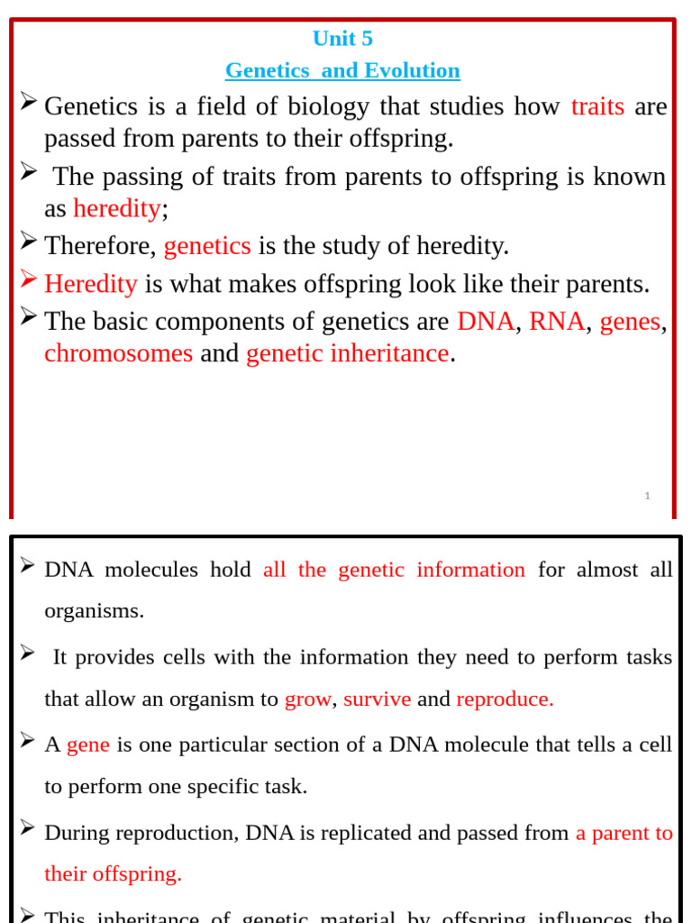 Biol unit 5 | PDF | Dna | Genetic Code