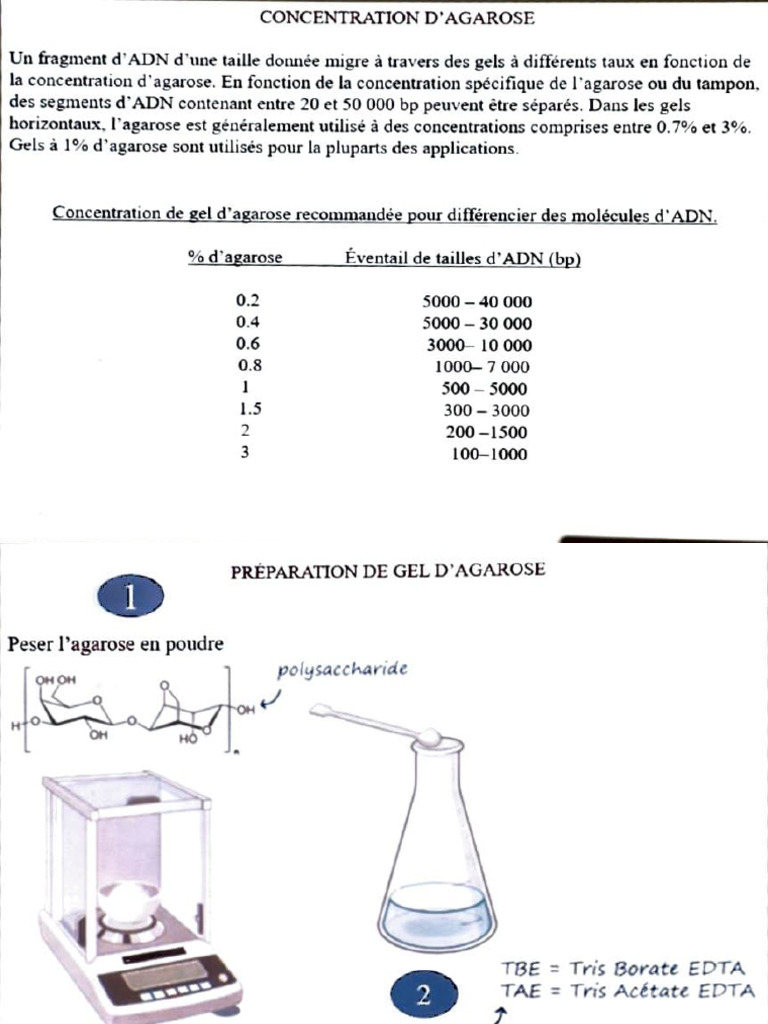 Suite TAM-1 - 241207 - 210341 | PDF