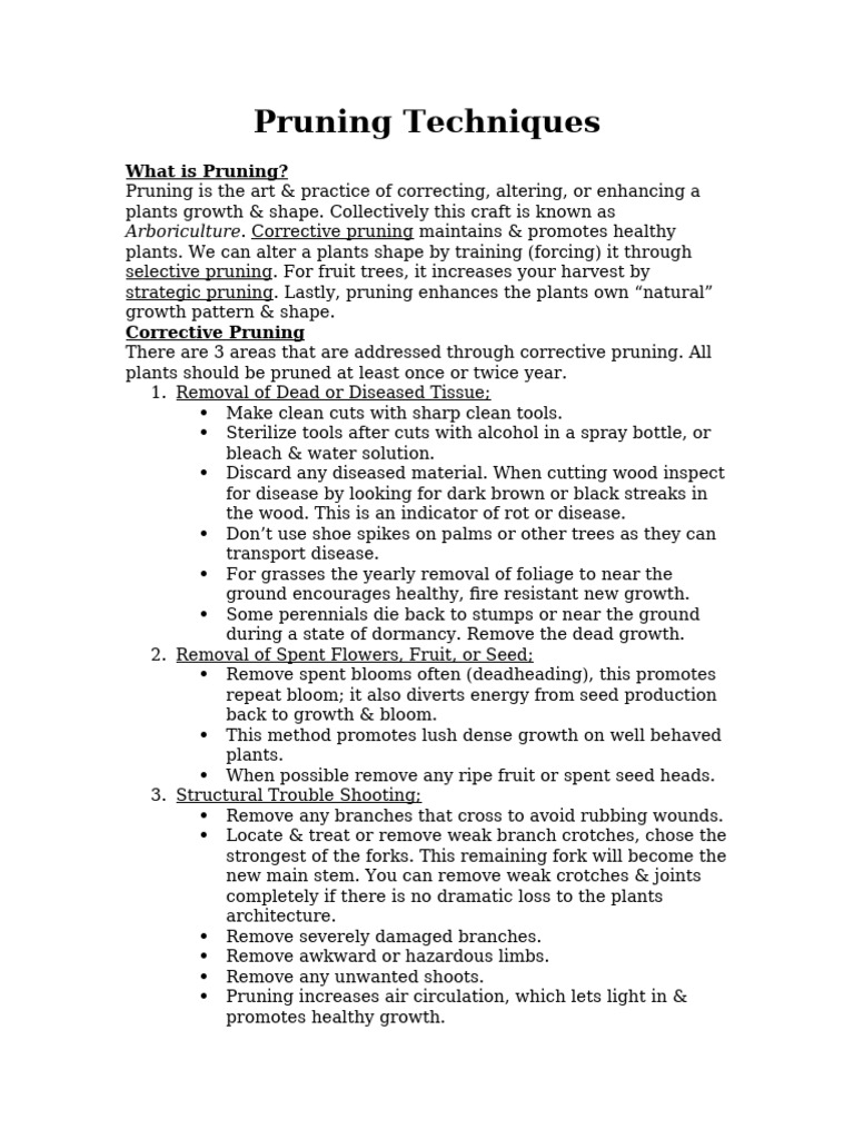 Pruning Techniques Feb 6th | PDF | Pruning | Trees
