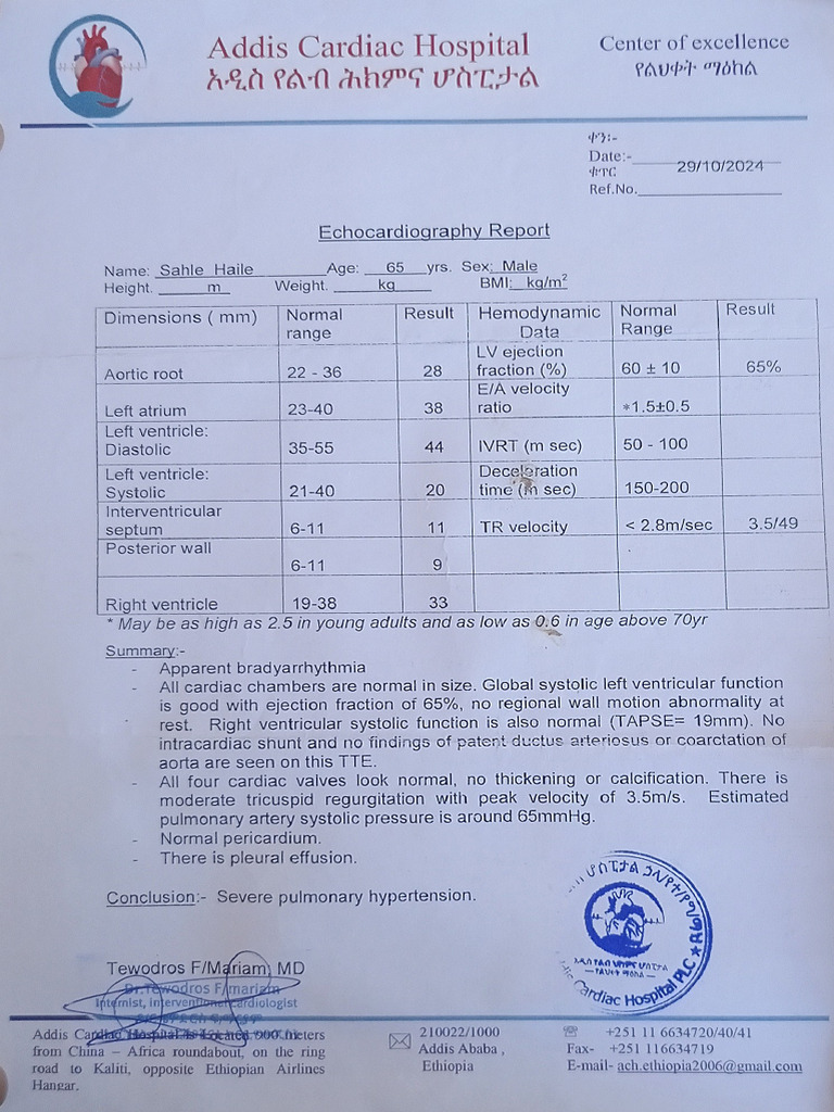 Echocardiography Report | PDF