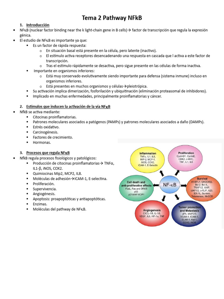Pathway NFKB | PDF | Receptor (Bioquímica) | Nucleo celular