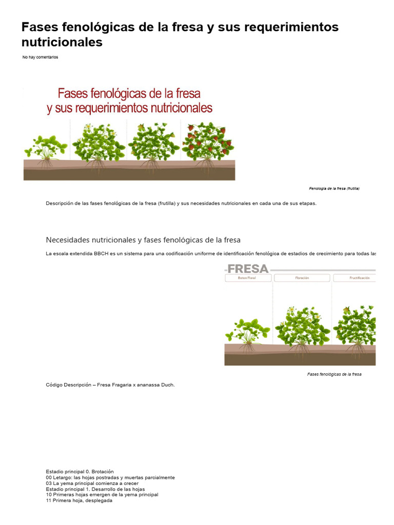 Etapas del ciclo de vida de la fresa | PDF | fresa | Hoja