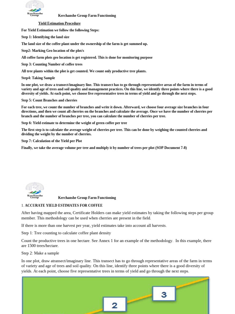 Dabaka Coffee Farm Yield Estimation 2024 | PDF | Trees | Coffee