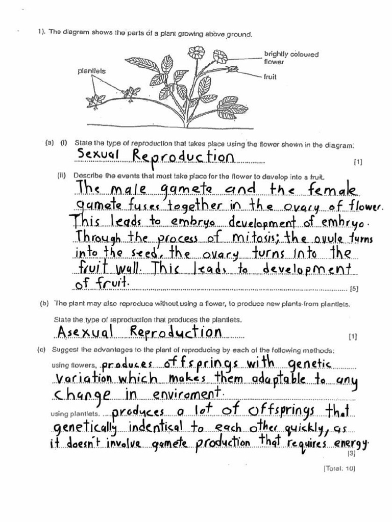 Biology Assignment 20 | PDF